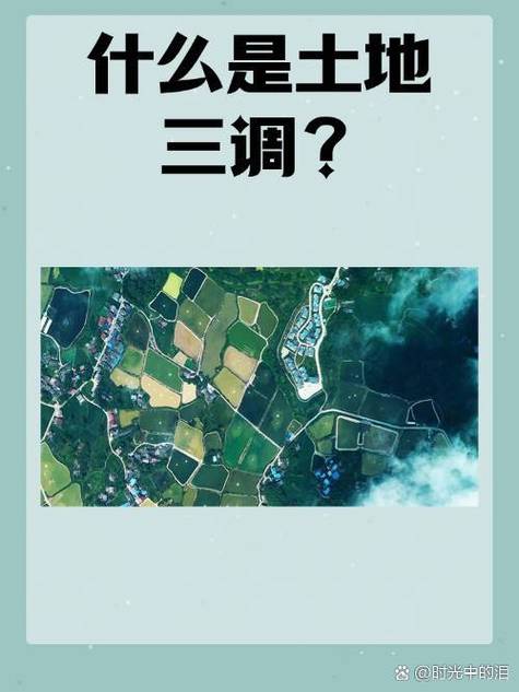 三调是什么时候开始的图标