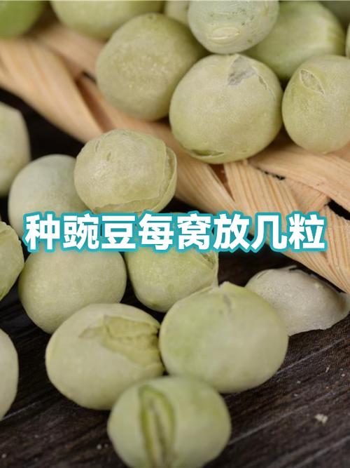 豌豆粒冷藏后可放几天截图