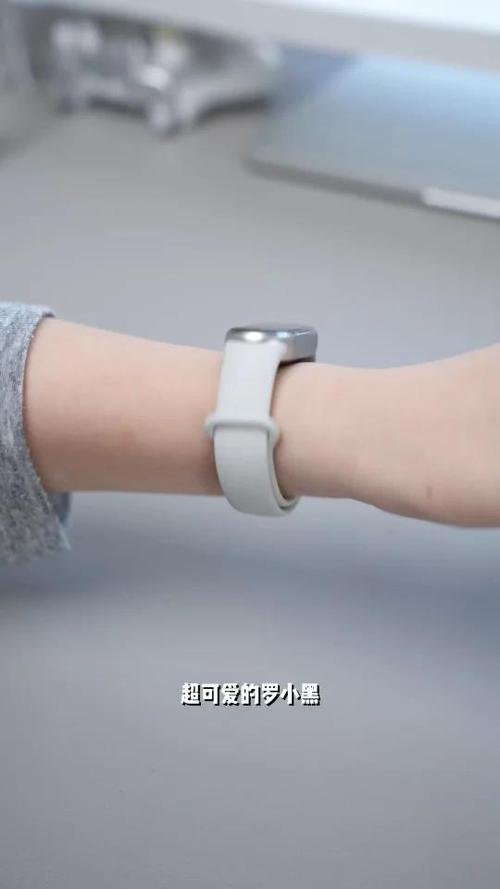 小米手环第三方应用图标