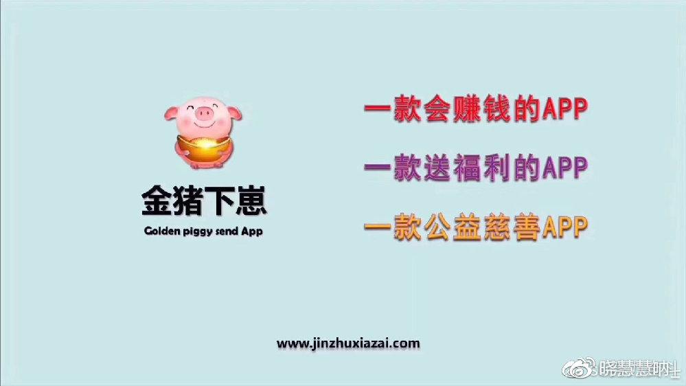 金猪下崽是什么图标