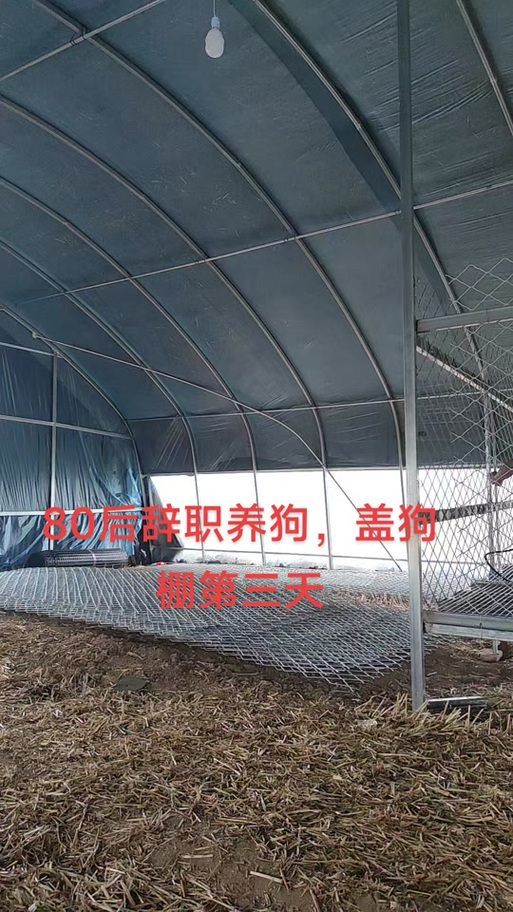 养狗大棚图标