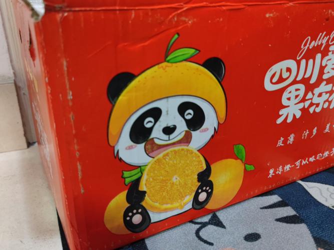 橙子金卡图标