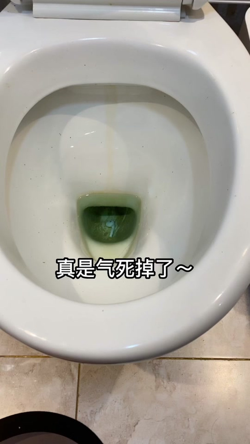 耳机掉马桶里冲走了怎么办图标