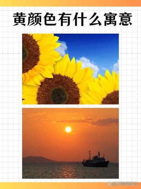 真趣寓意着什么截图