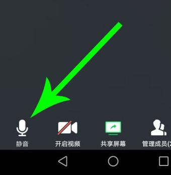 qq视频可以关声音吗截图