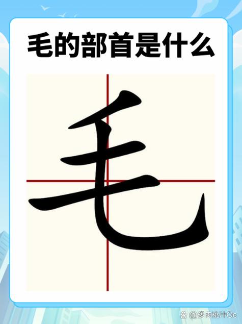 毛字加偏旁组词语图标