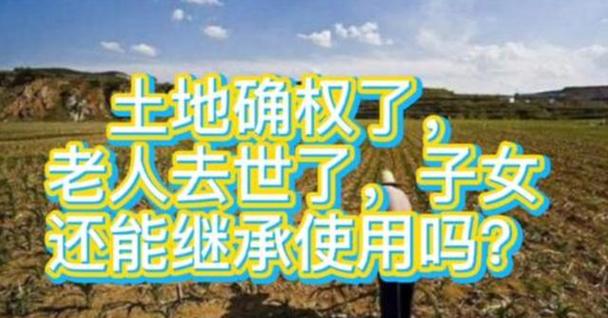老人死后土地归谁继承图标