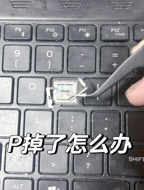 惠普无线键盘接收器丢了怎么办图标