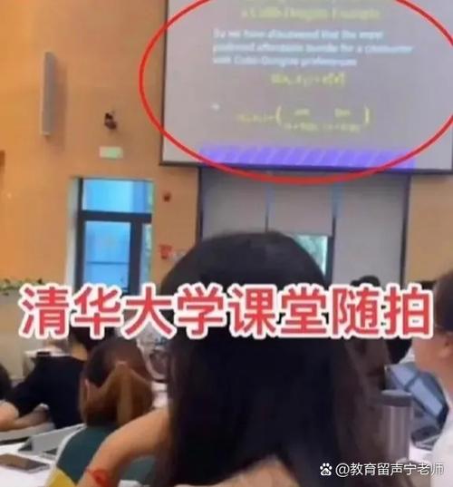 清华大学数学教授讲课视频图标