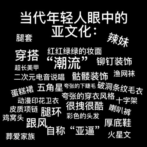 青年亚文化 弹幕文化