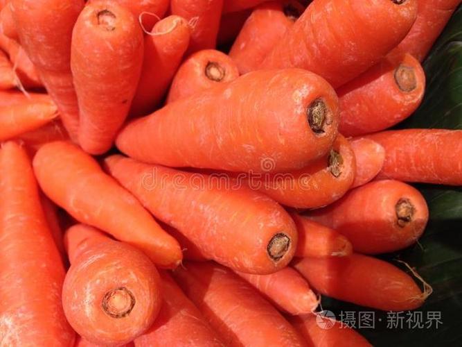 萝卜哪边是头图标