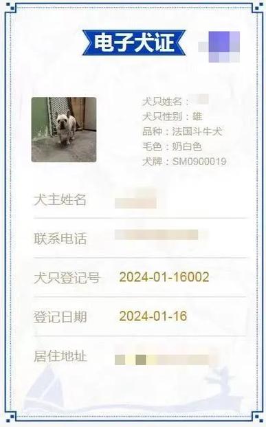 养犬分红图标