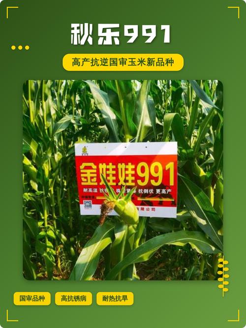 十九秋是正规的吗图标