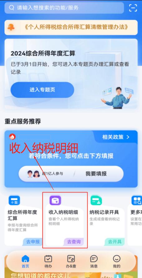 登录个人所得税app图标