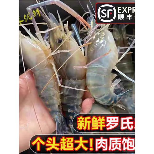 8号到家截图