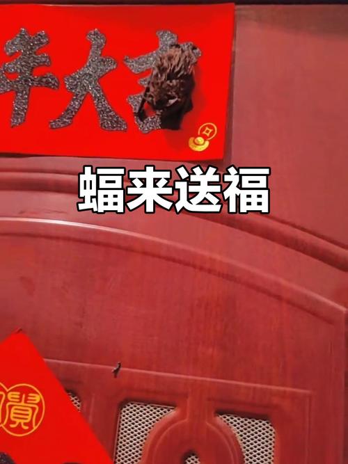 蝙蝠进门预示着什么图标