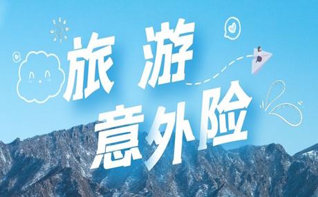 旅游保险图标