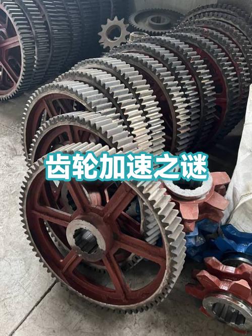 手游加速齿轮永久免费版截图