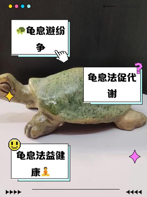 龟息疗法对人有什么好处图标