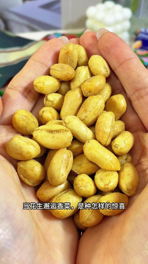 国际航班可以带花生吗图标