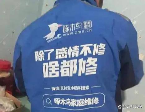 啄木鸟冰箱维修图标