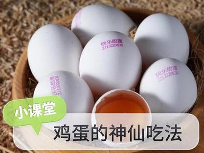 快乐的蛋质量怎么样