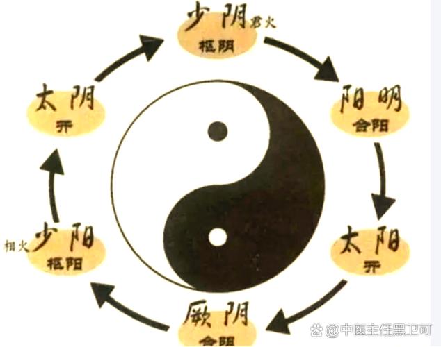 少阴代表着什么图标