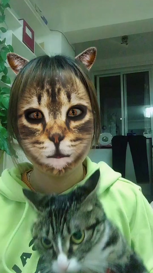 抖音猫脸特效如何使用图标
