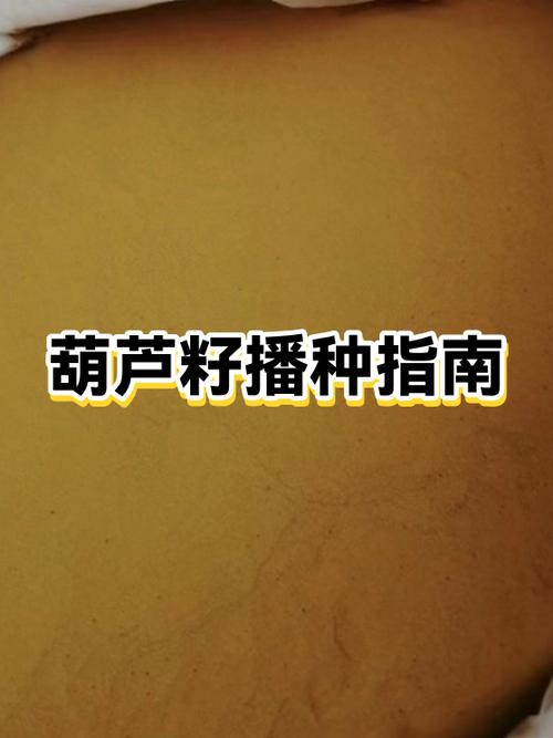 葫芦什么时候种图标