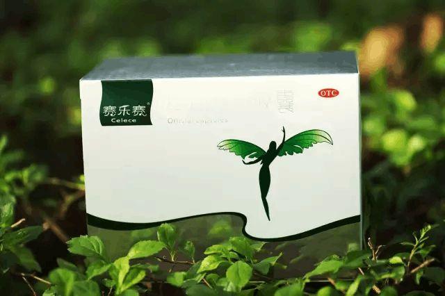 赛乐赛图标