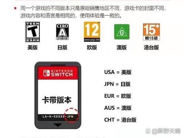 switch港版中文说明书截图