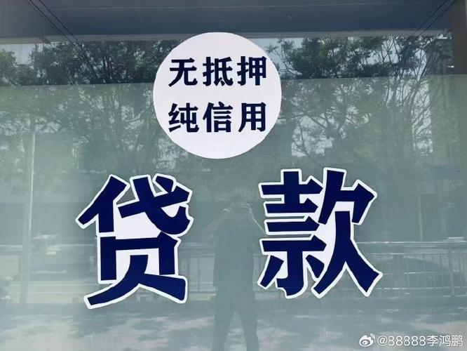 纯信用贷款是什么意思