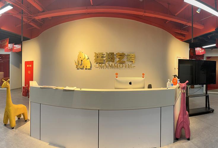 松果大(厦门)影视有限公司