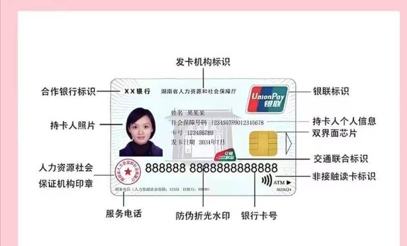 支付宝绑定不了社保卡