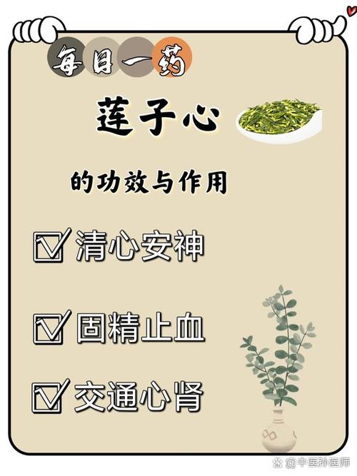 莲花的功效与作用图标