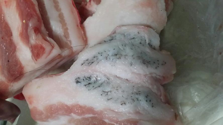 带皮猪肉有猪奶头图标