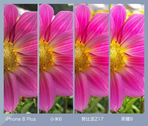 苹果8p怎么连拍999张照片截图