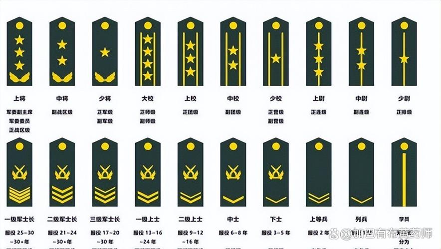 大校军衔相当于什么官截图
