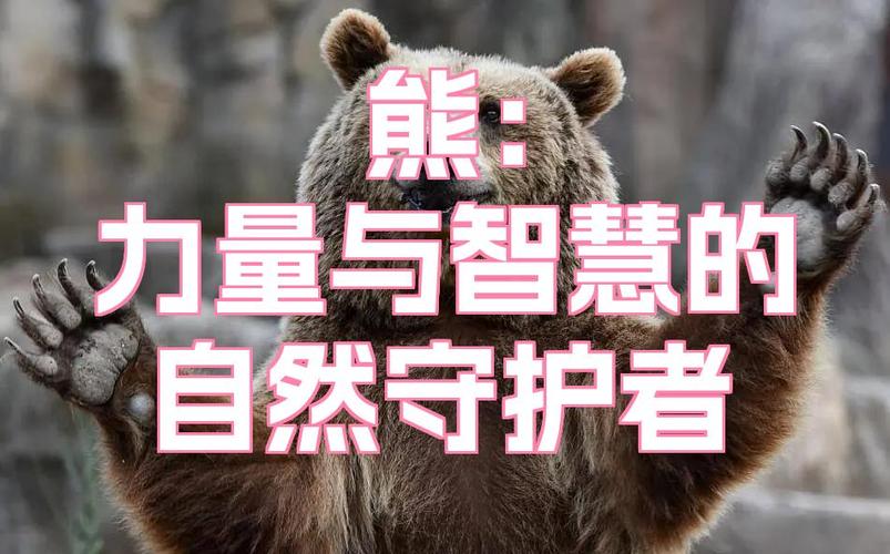 熊分享软件库密码是多少图标