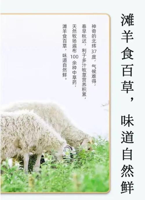 无忧牧场简介图标