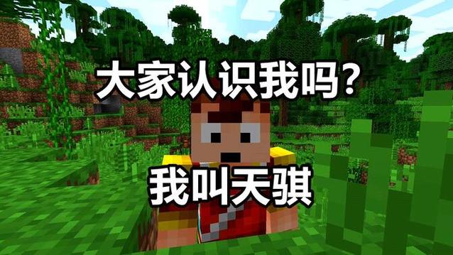 天骐之我的世界求生之路pe图标