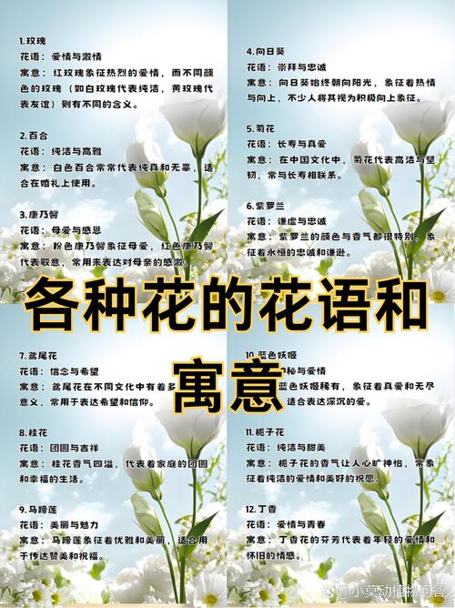花瓣代表什么意思图标