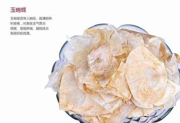 玉蝴蝶是什么植物图标