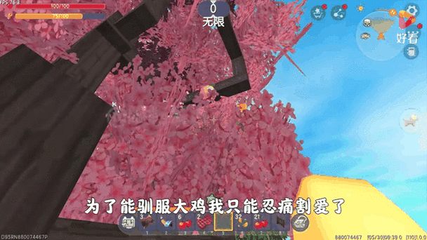 怎么驯服飞鸡图标