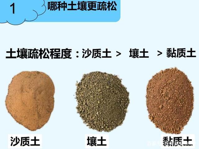 最好的土壤是什么土图标
