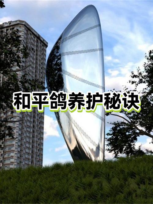 鸽子怎么养才健康图标