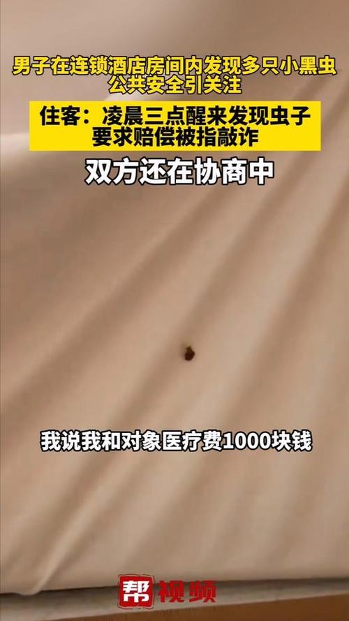 宾馆发现虫子能索赔吗截图