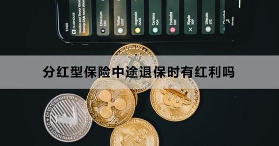 中途退保的最佳时机图标
