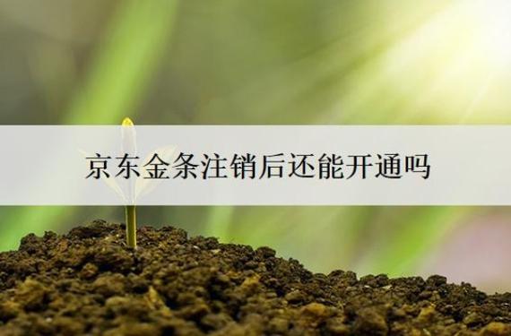 京东金条有必要注销吗图标