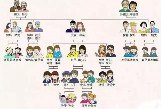 排辈称呼图标
